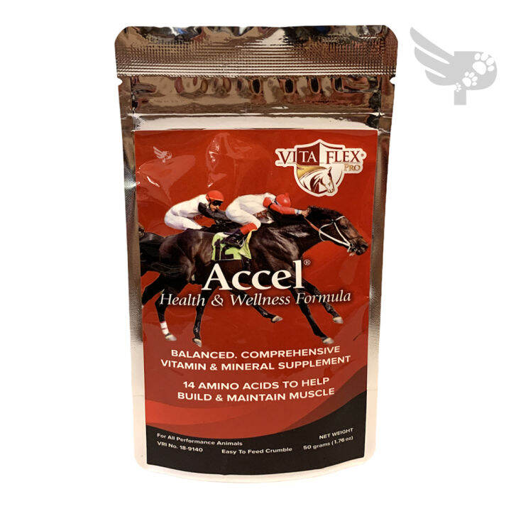 Accel 50g - Sold per piece - Vitaflex Pro - Health & Wellness Formula ...