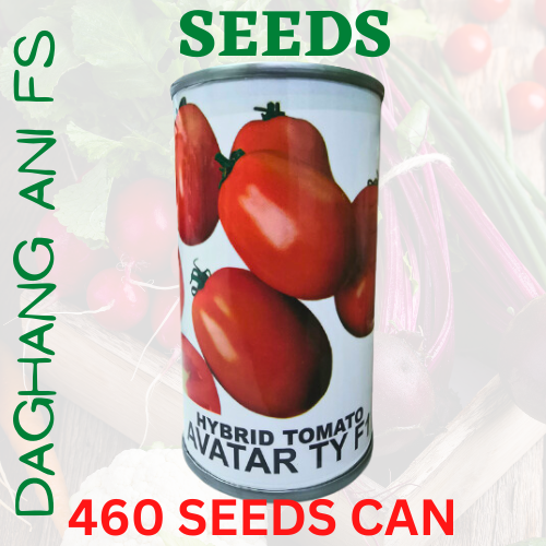 TOMATO AVATAR SEEDS BY CONDOR SMALL CAN (460SEEDS) | Lazada PH