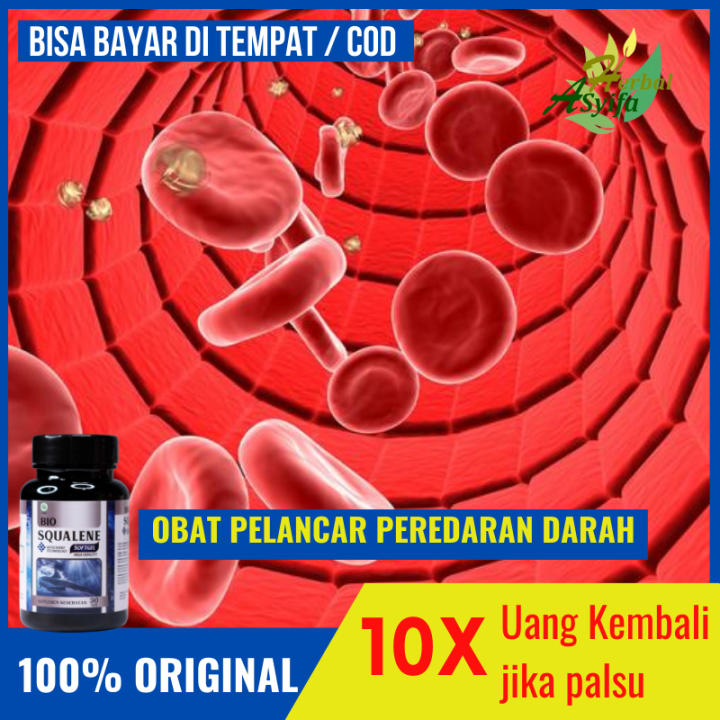BIO SQUALENE - Obat Pelancar Peredaran Darah, Vitamin Darah Tidak ...