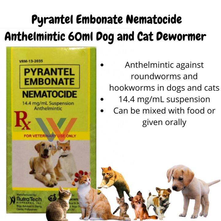 Anthelmintic 60ml Dog and DewormerPyrantel Embonate | Lazada PH