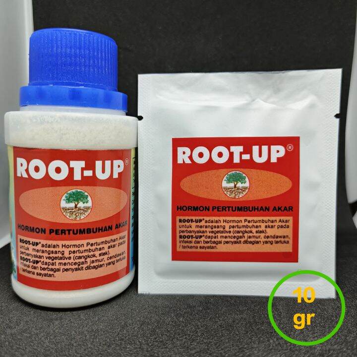 ROOT UP KEMASAN REPACK 10 gr HORMON PERTUMBUHAN AKAR | Lazada Indonesia