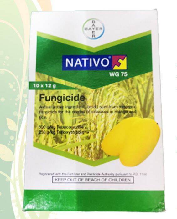 BAYER NATIVO WG 75 FUNGICIDE 100 grams | Lazada PH