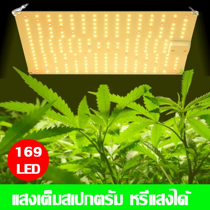 Candyrose ไฟปลูกต้นไม้ LED 169 ไฟปลูกพืช เต็มสเปกตรัม แสงอาทิตย์ ไฟปลุกต้นไม้ ไฟช่วยต้นไม้ตัว ...