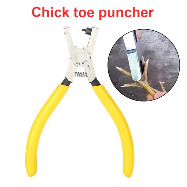 Chick toe puncher for chick marking Rooster Gamefowl Poultry Hole Punch ...