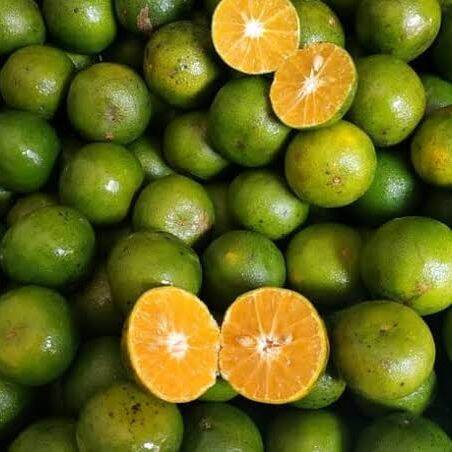 Jeruk Peras Fresh 1 Kg | Lazada Indonesia