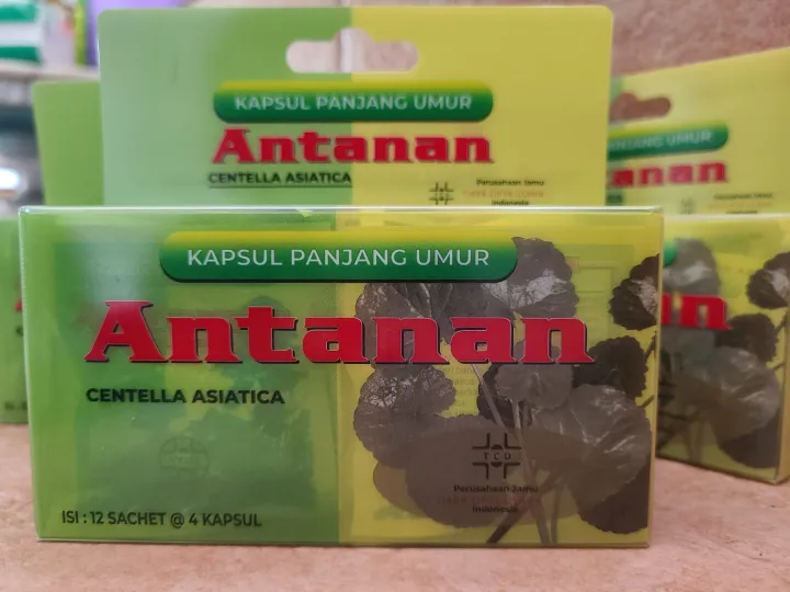 ANTANAN 12SACHET 48KAPSUL - Antanan Kapsul Panjang Umur Isi 12 Sachet ...
