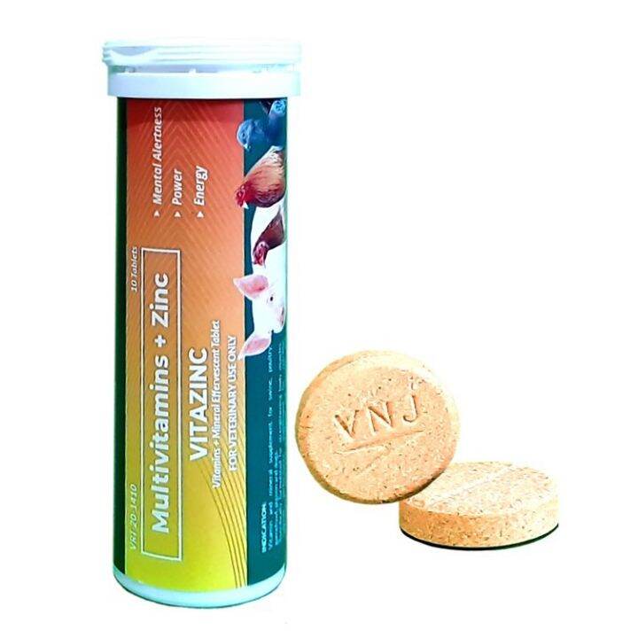 VITAZINC Effervescent Tablet | Lazada PH