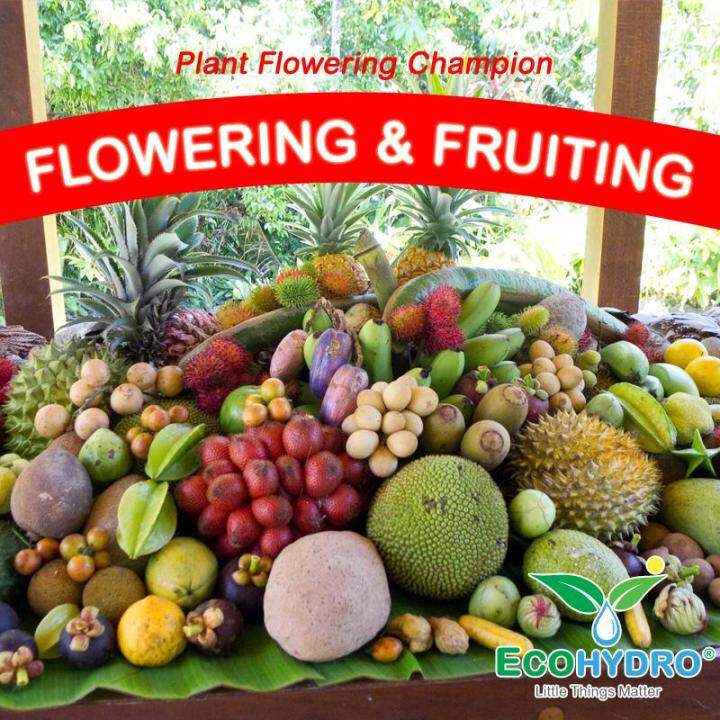 500g Blooming & Fruiting Fertilizer Baja Flowering Foliar Made in EU ...