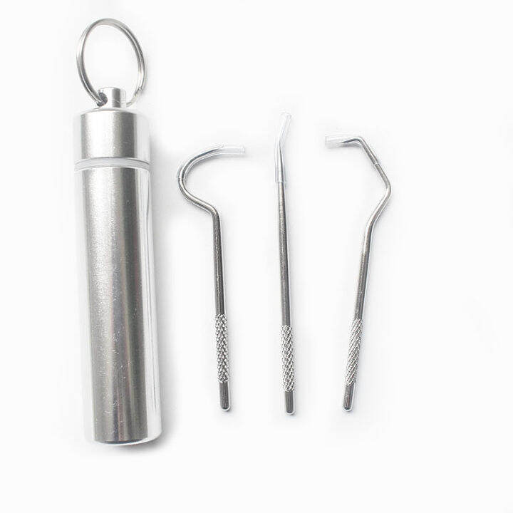 Stainless Steel Toothpick Set Tooth Picking Artifact | Lazada