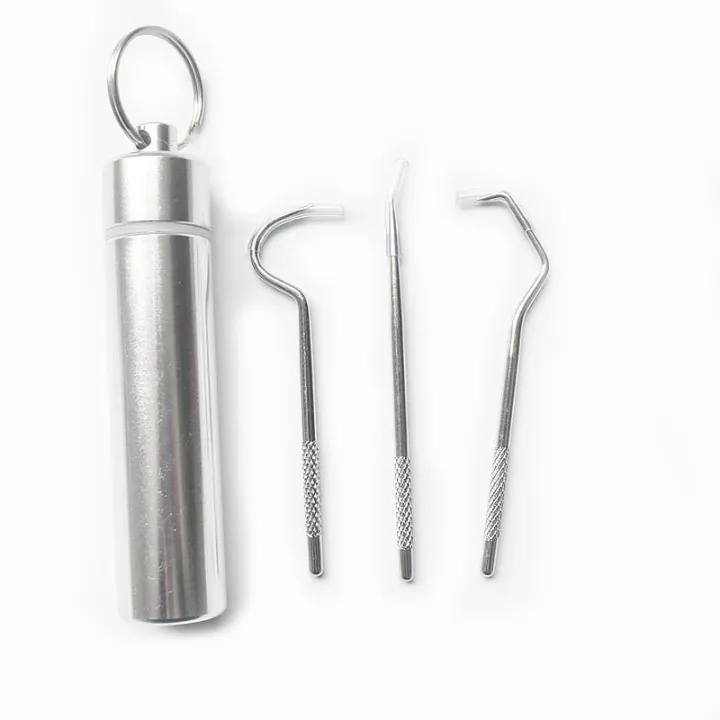 Stainless Steel Toothpick Set Tooth Picking Artifact | Lazada PH