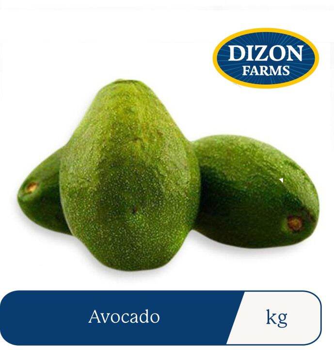 Dizon Farms - Avocado / kg | Lazada PH