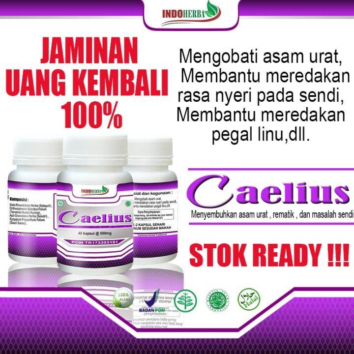 TERLARIS !!! Caelius Obat Herbal Alami TERBUKTI AMPUH Menurunkan Kadar ...