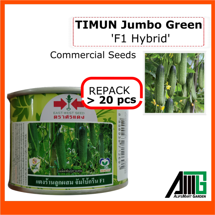 TIMUN F1 Jumbo Green Thailand Cap Panah Merah Hybrid Benih Cucumber ...