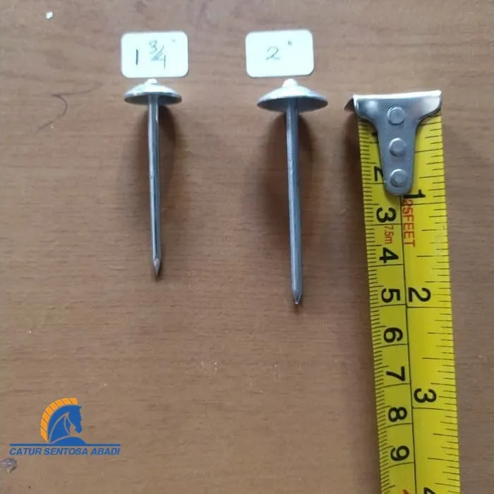 Paku Payung / Paku Seng Asbes Atap Curah 2 Inch 5 cm Per 1 Kg | Lazada ...