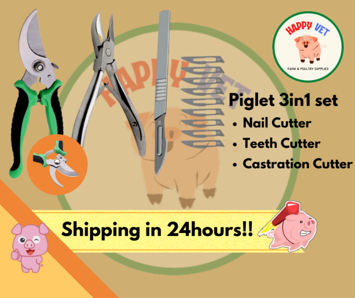 Piglet 3in1 Tool Kit Piglets teeth cutter + Piglets tail cutter + Pig castration cutter for ...