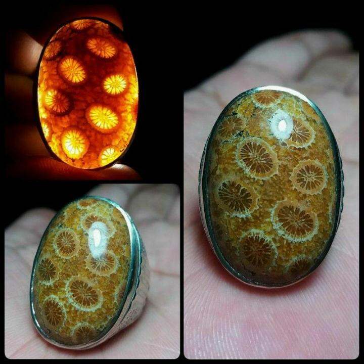 Batu Akik Teratai Antik Tembus Cahaya | Lazada Indonesia