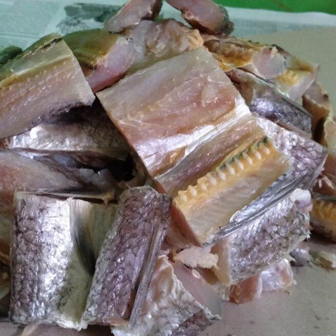 Ikan Asin Gabus Laut Super 1/2kg Tanpa sisik Khas Pangandaran | Lazada ...
