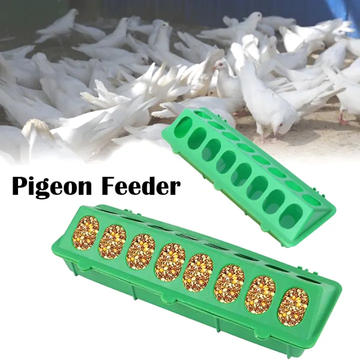 Flip-Top Pigeon Poultry Feeder for Chicken Pigeons Dove Feeding Tray ...