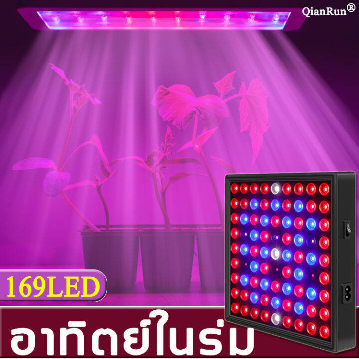 【ช่วยให้พืชโตเร็ว】QIANRUN ไฟปลูกต้นกันชา เต็มสเปกตรัม 169LED （ไฟปลูก ...
