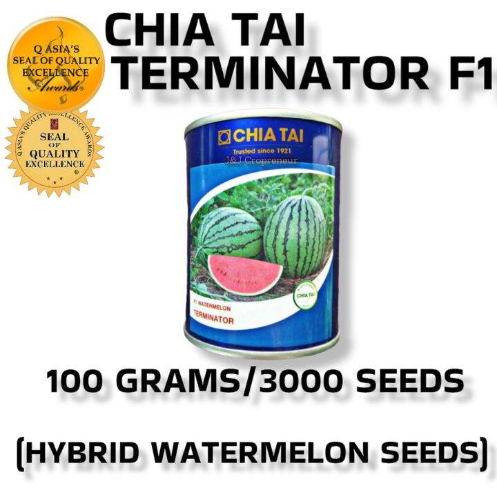 TERMINATOR F1 HYBRID WATERMELON (100 GRAMS OR 3000 SEEDS) BY CHI TAI ...