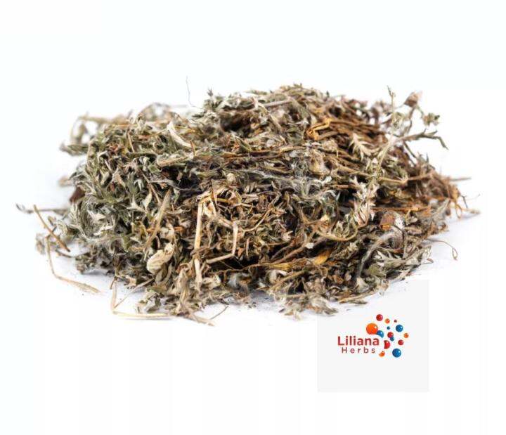130gram Bei Zi Cao 北子草 北紫草 Pat chee choo/Radix Arnebiae/Lithospermum ...