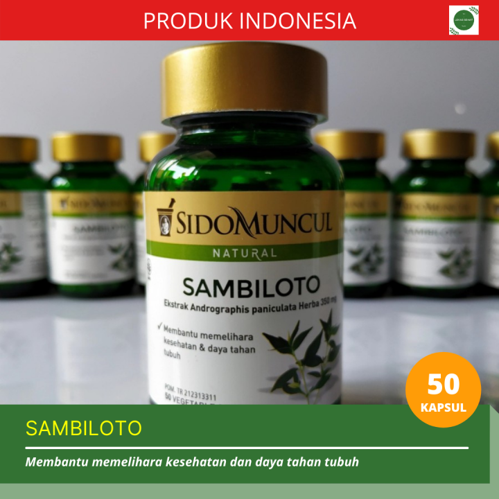 TERLARIS ! SAMBILOTO SIDOMUNCUL 50 KAPSUL, ASLI OBAT ANTI PIRUS ...