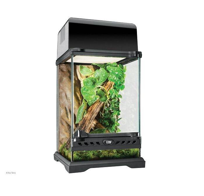 PT 2601 Exo Terra Nano Tall Glass Terrarium 8"x8"x12" for Reptiles | Lazada