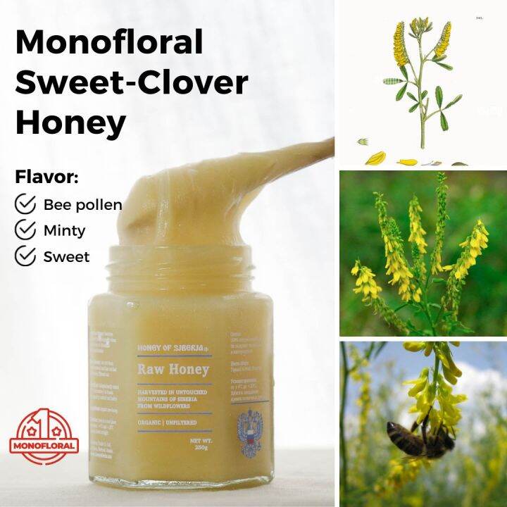 น้ำผึ้งดอกไม้ป่าไซบีเรีย ออร์แกนิค Sweet-Clover Honey | บริสุทธิ์ 100%. Siberian Monofloral ...