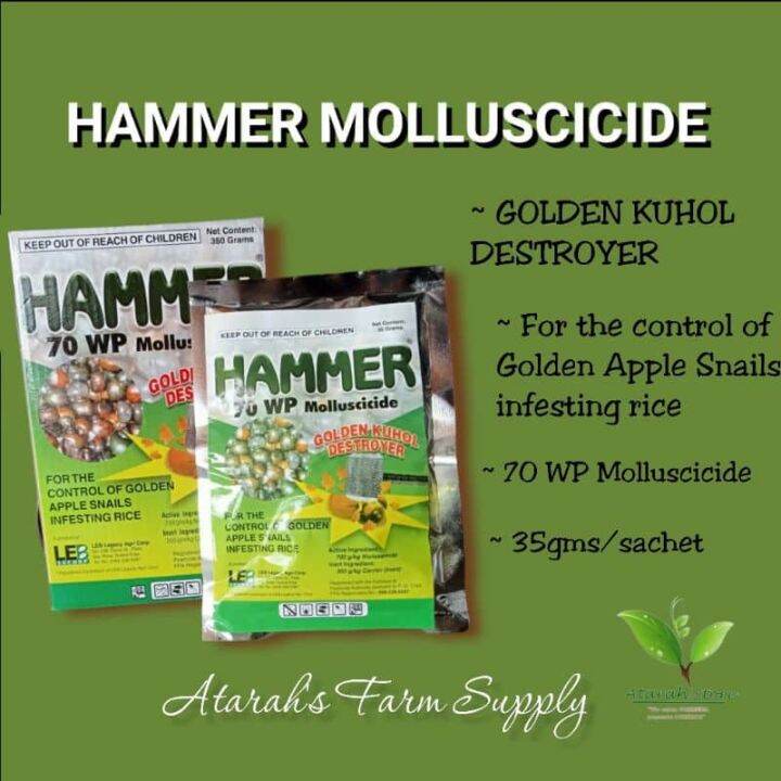HAMMER 70WP MOLLUSCICIDE (GOLDEN KUHOL DESTROYER) | Lazada PH