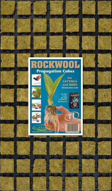 Growth Technology Rockwool Propagation Cubes 77pcs (with PVC Seedling ...