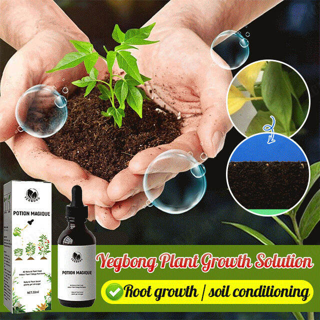 W Yegbong plant growth nutrient solution | Lazada PH