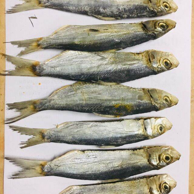 Ikan kering tamban 500g-1kg | Lazada