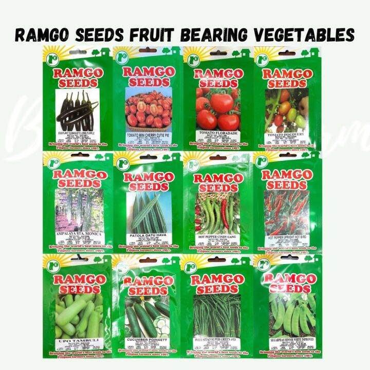 Ramgo Seeds (Fruit Bearing) Eggplant Tomato Cucumber Green Hot Pepper ...