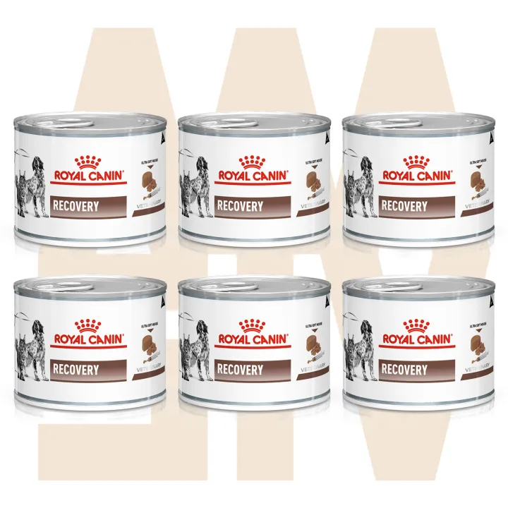 Royal Canin Recovery Wet Food Bundle / Set | 6 CANS x 195g | Dog | Cat ...