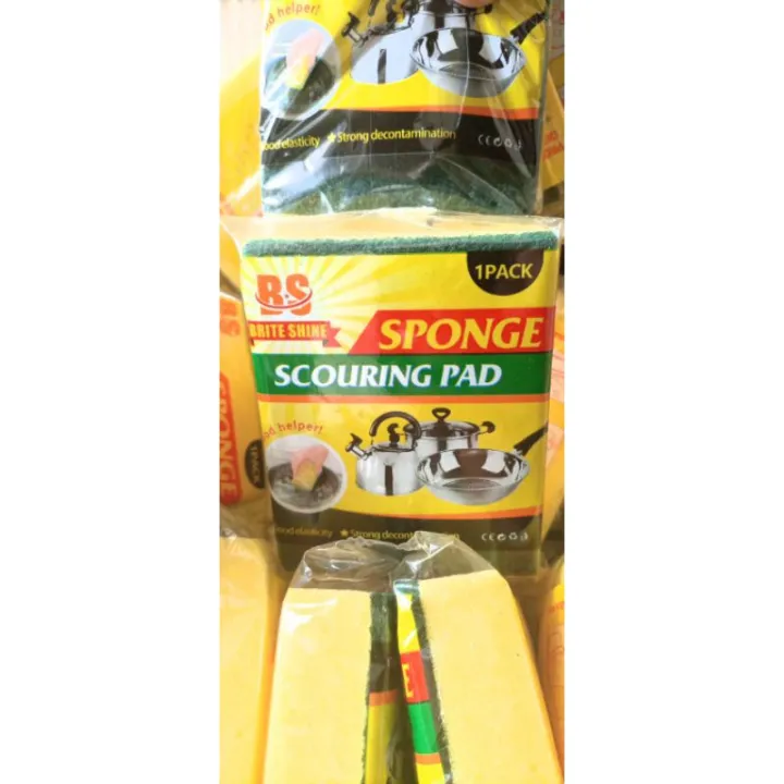 BRITE SHINE SPONGE with SCOURING PAD 12 pcs | Lazada PH