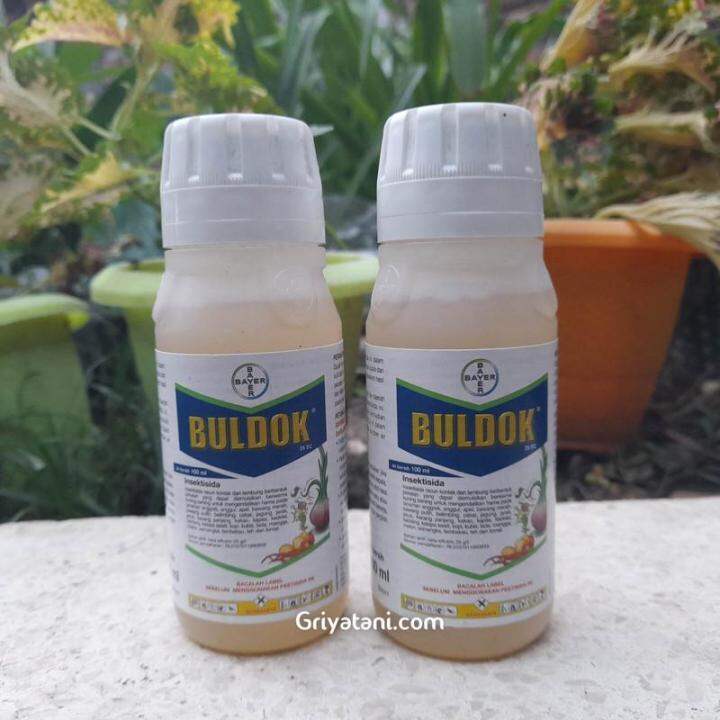 Insektisida Buldok 25EC 100ml | Lazada Indonesia