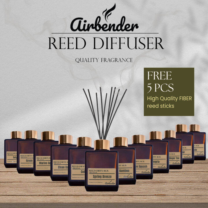 Airbender Reed Diffuser 150ML Home Scents | Lazada PH