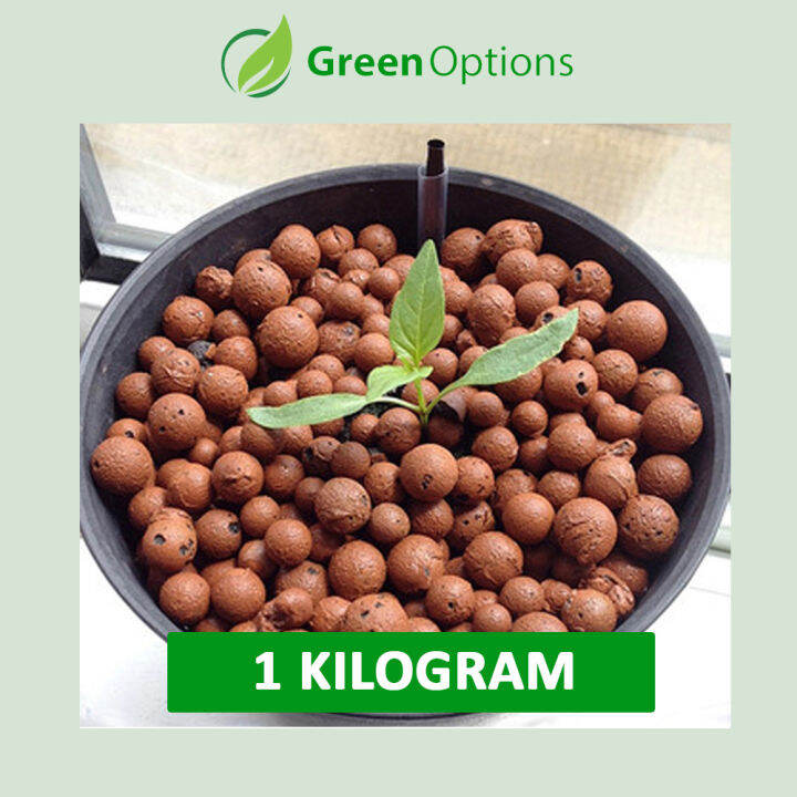 Hydroton Clay Pebbles 1kg (4 liters) for Hydroponics | Lazada PH