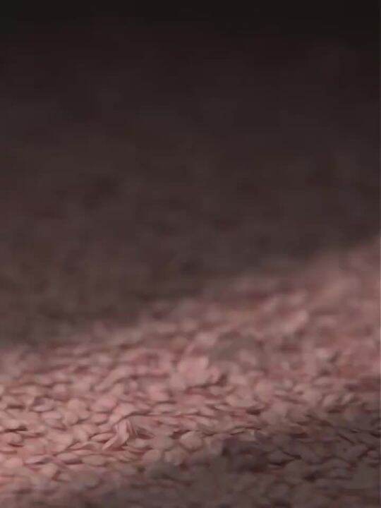 【Pink Golden Gift Edition】Laifen LF03 High Speed Hair Dryer 110,000 Rpm Motor Ultra-Fast Drying ...