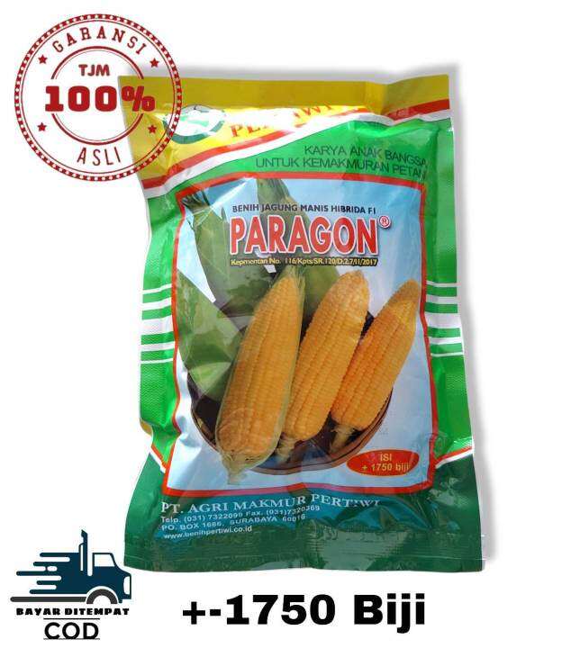 High-quality sweet corn seeds/Bailigong sweet corn seedlings/motherland ...
