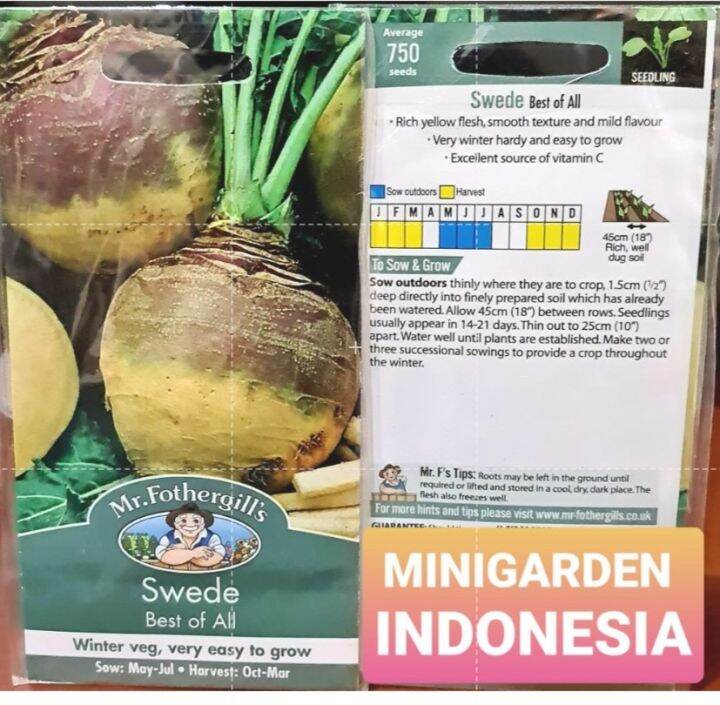Benih SAYUR BIT SWEDE BEST OF ALL PACK 750 BIJI Mr. Fothergills Bibit ...