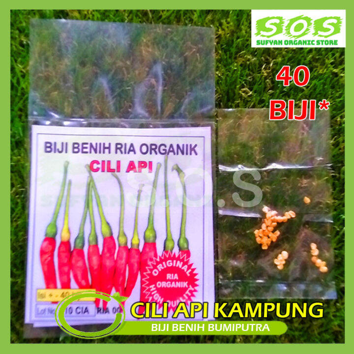 SOS - 40 BIJI BENIH CILI API KAMPUNG / LADA BURUNG - RIA ORGANIK | Lazada