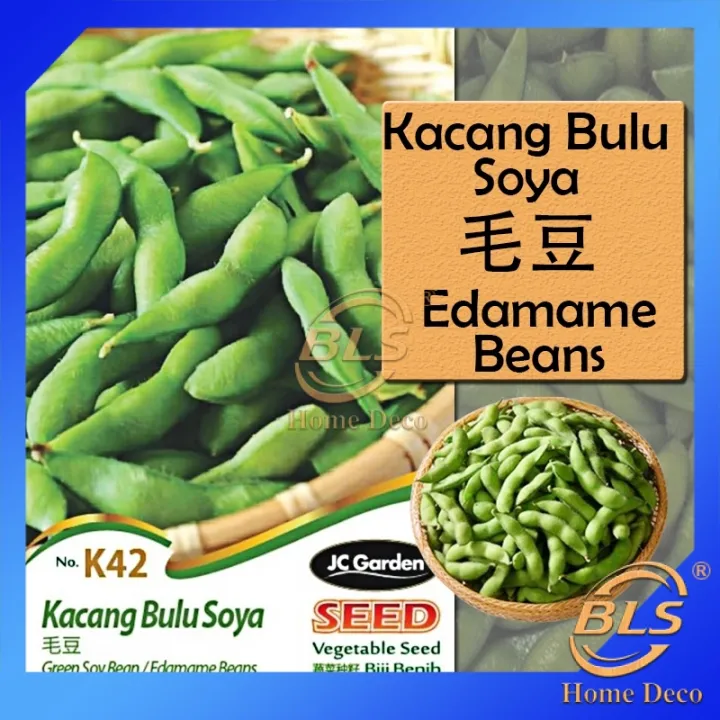 Green Soy Bean JC GARDEN SEED 50 seeds (not live plants) | Lazada PH