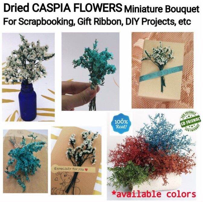 Dried CASPIA Flowers Miniature Bouquet for Resin Art, Scrapbooking, DIY ...