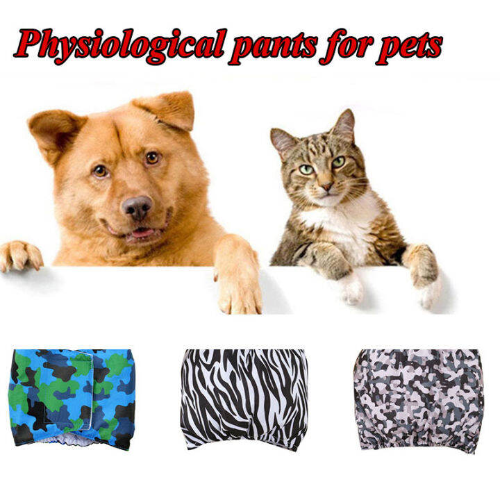 Male And Female Dogs Color Physiological Pants Menstrual Safety Pants ...