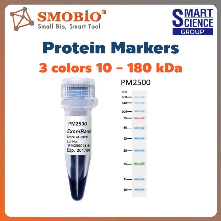 PM2600 ExcelBand Protein Markers SDS-PAGE Western blot 3-color High ...