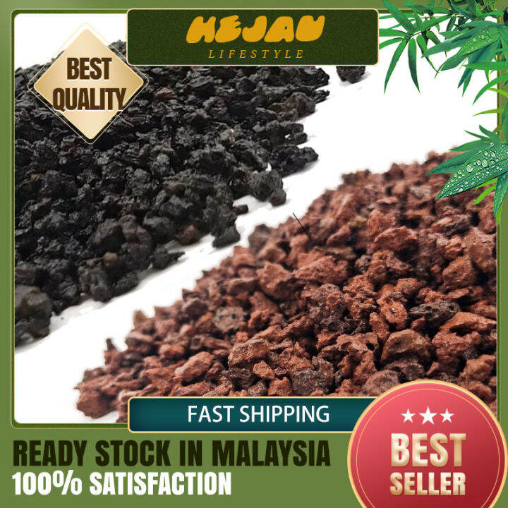 【24H SHIP OUT】Aquarium Red Lava Rock Filter Media /Succulent Volcano ...