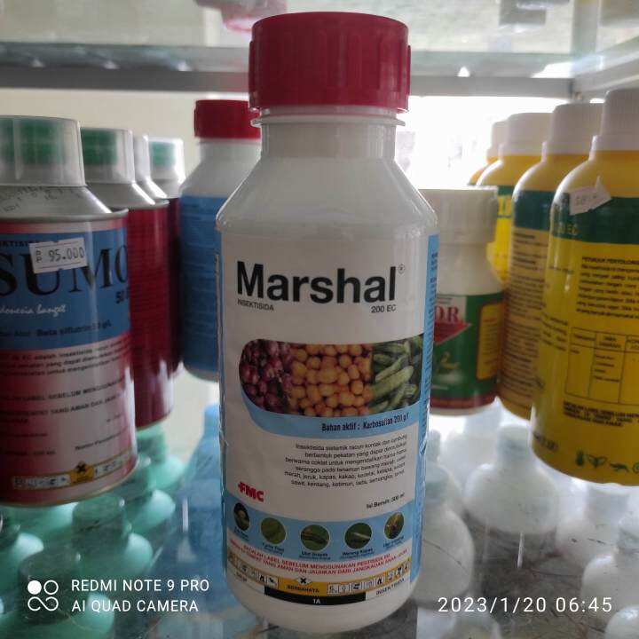 Insektisida Marshal 200EC FMC 500ml | Lazada Indonesia