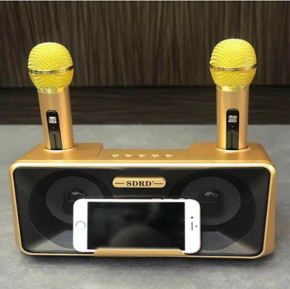 Style Fashion SDRD SD-301 Professional Bluetooth Karaoke Speaker with ...