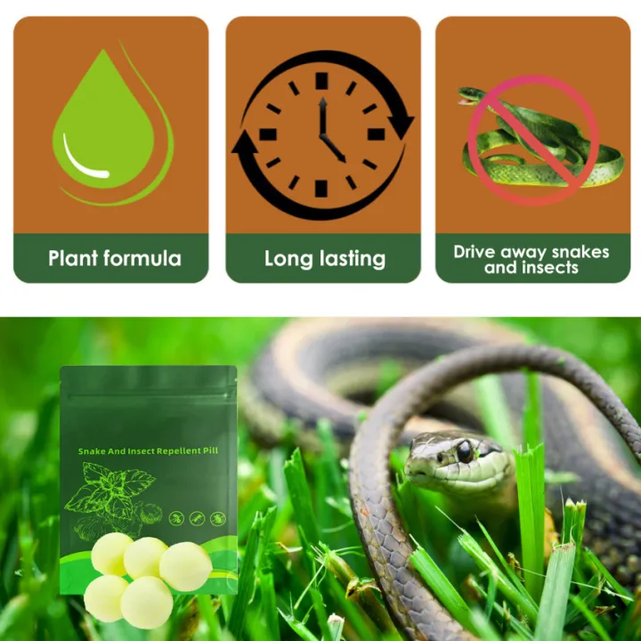 Realgar repellent powder long-acting snake repellent pills portable ...